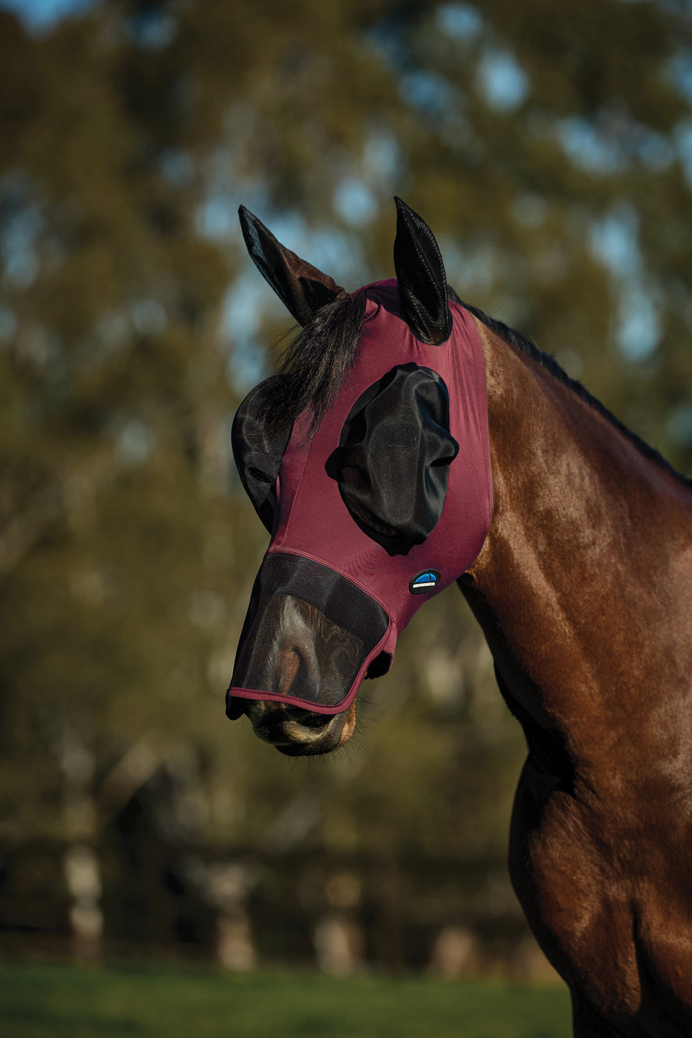 Online English Tack & Riding Apparel | Shop Horse Gear & More - Equus