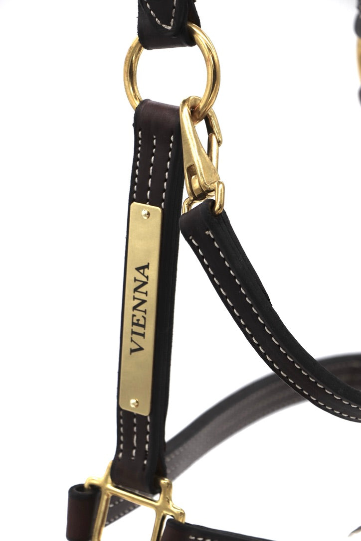 Elegant Halter Nameplate - Premium Quality - Equus Now!