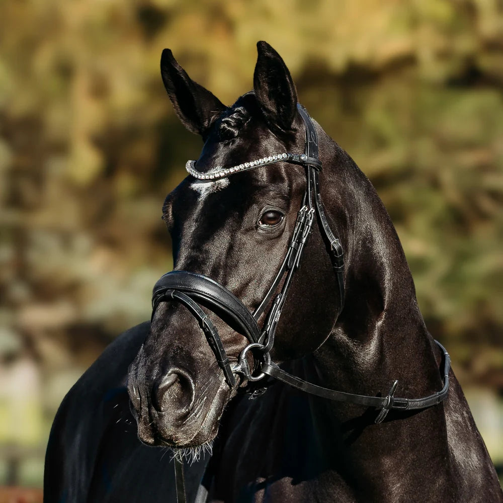 Lumiere Arcadia Luxury Leather Bridle - Equus Now!