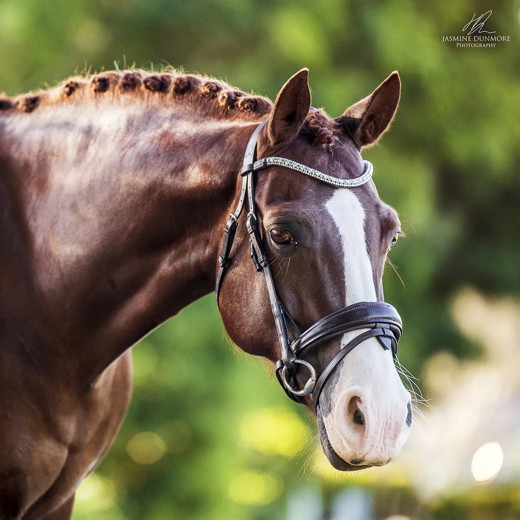 Lumiere Arcadia Luxury Leather Bridle - Equus Now!